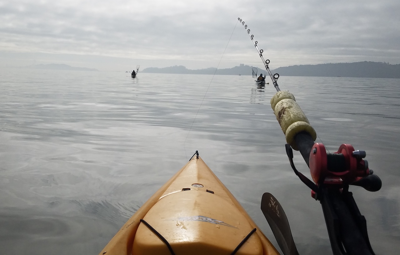 San Pablo Bay Kayak Fishing Sturgeon - The Lost Anchovy