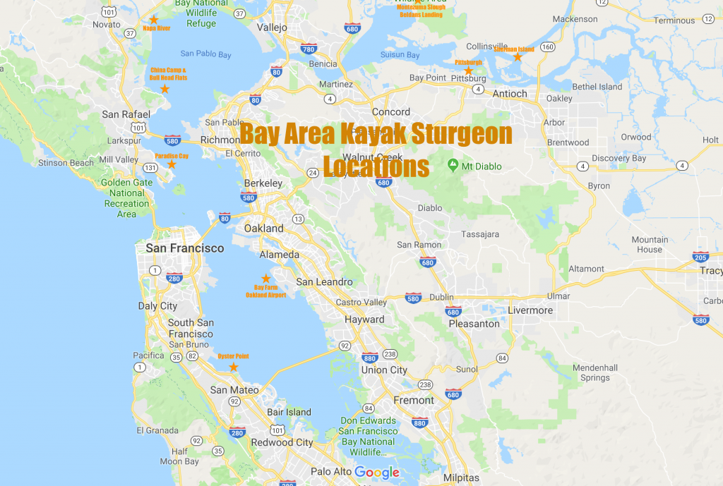 Sturgeon Fishing Tutorial - The Lost Anchovy
